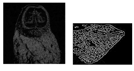 Comprehensive Guide to Edge Detection Algorithms - Analytics Vidhya