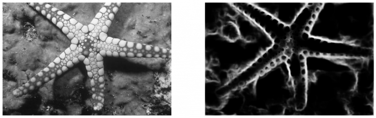 Comprehensive Guide to Edge Detection Algorithms - Analytics Vidhya