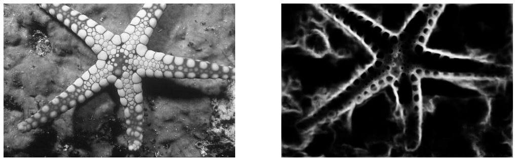 Comprehensive Guide to Edge Detection Algorithms - Analytics Vidhya