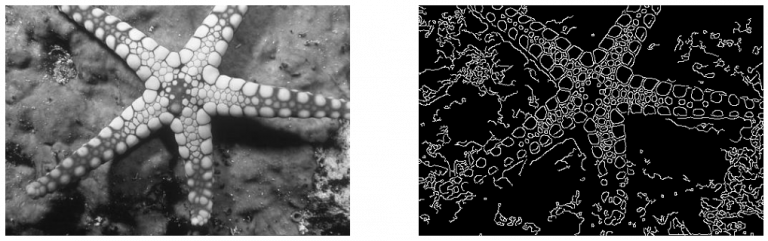 Guide to Edge Detection Algorithms - Analytics Vidhya