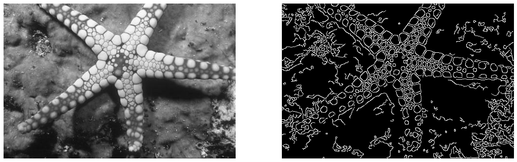 Guide To Edge Detection Algorithms Analytics Vidhya
