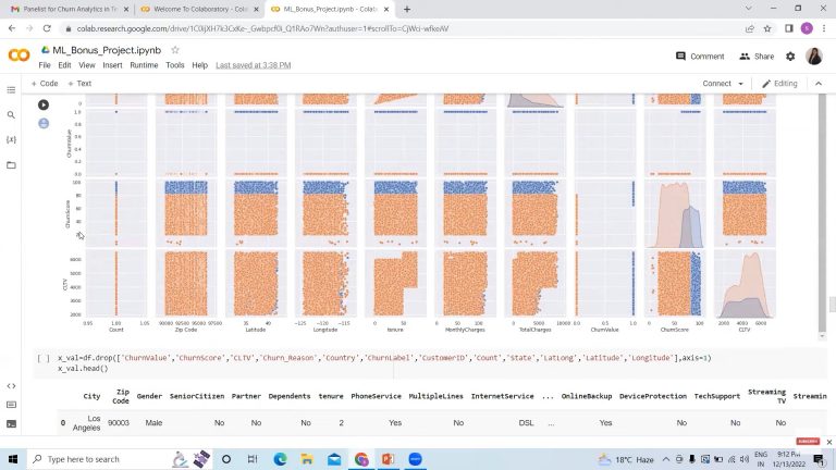 Churn Analytics in Telecommunications Company
