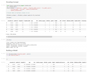 Transforming Healthcare: Project-based Deep Learning-Powered Survival Prediction | Datadance
