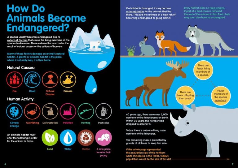 How to Use Data Visualization in Infographics? - Analytics Vidhya