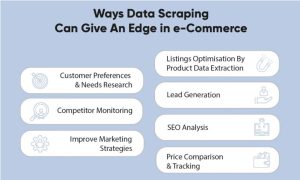 Top 10 Web Scraping Projects in 2025 - Analytics Vidhya