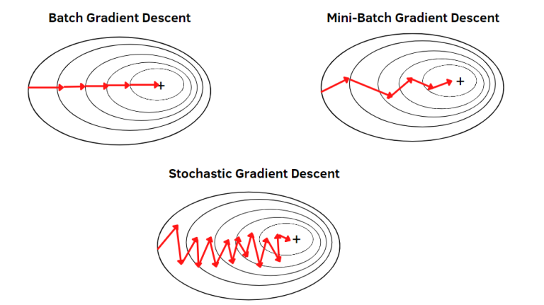 Unveiling the Essence of Stochastic in Machine Learning