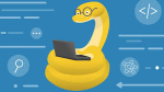 20 Python Interview Questions for Data Analysts | Analytics Vidhya