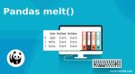 Pandas Melt Function with This Beginners Guide | Analytics Vidhya