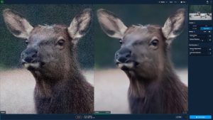 10 Best AI Image Enhancers To Use in 2025 - Analytics Vidhya