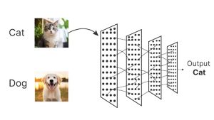 Image Classification Model: Build a deep learning solution in minutes