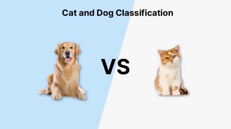 How to Classify Cats and Dogs Using CNNs in Python?