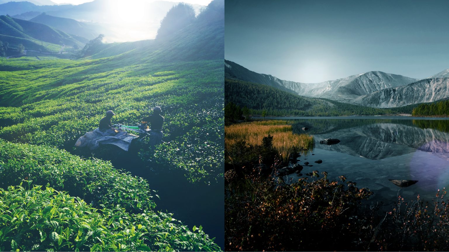 Top 10 AI Photo Editors Every Photographer Needs in 2024