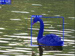Live Object Detection and Image Segmentation with YOLOv8 - Analytics Vidhya