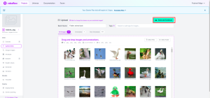 Live Object Detection and Image Segmentation with YOLOv8 - Analytics Vidhya