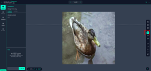 Live Object Detection and Image Segmentation with YOLOv8 - Analytics Vidhya