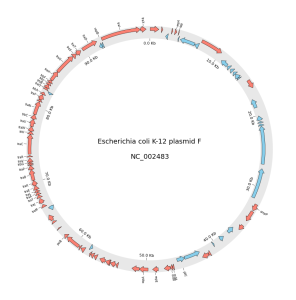 PyCirclize: Circular Data Visualization in Python for Beginners