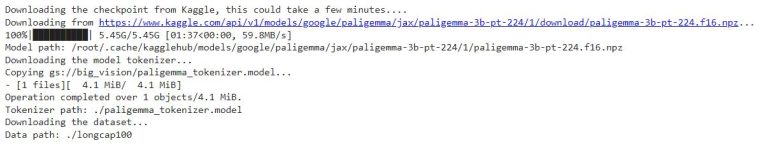 Finetune and Deploy Custom PaLiGemma Model for Image Tasks