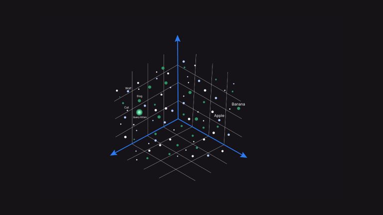 10+ Vector Database Applications in the Real World