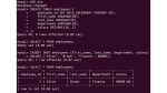 SQL Insert Statement