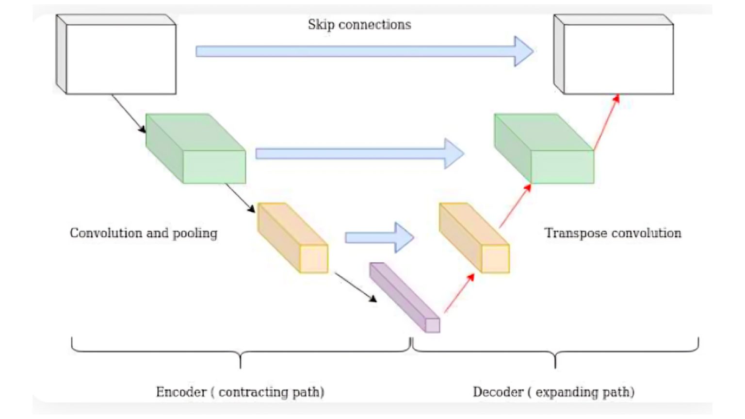 Role Of Fully Convolutional Networks In Semantic Segmentation