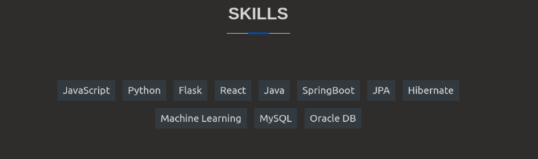 AI Portfolio | How to Build a Portfolio for an AI Career?