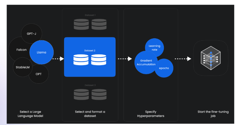 Fine-tuning and Inference of Small Language Models
