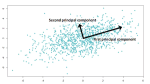 Principal Component Analysis (PCA)