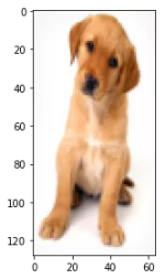 HOG Feature Descriptor: Feature Engineering for Images